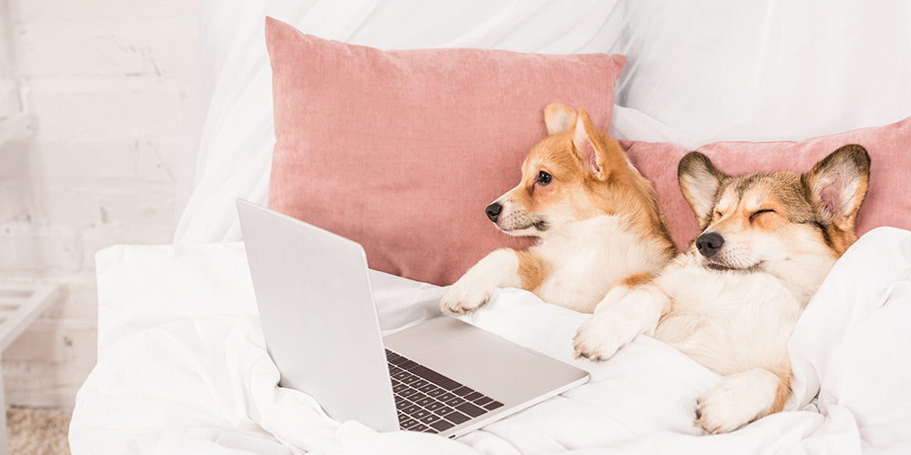 Baffle Box Construction & Sewn-through Construction – Puredown