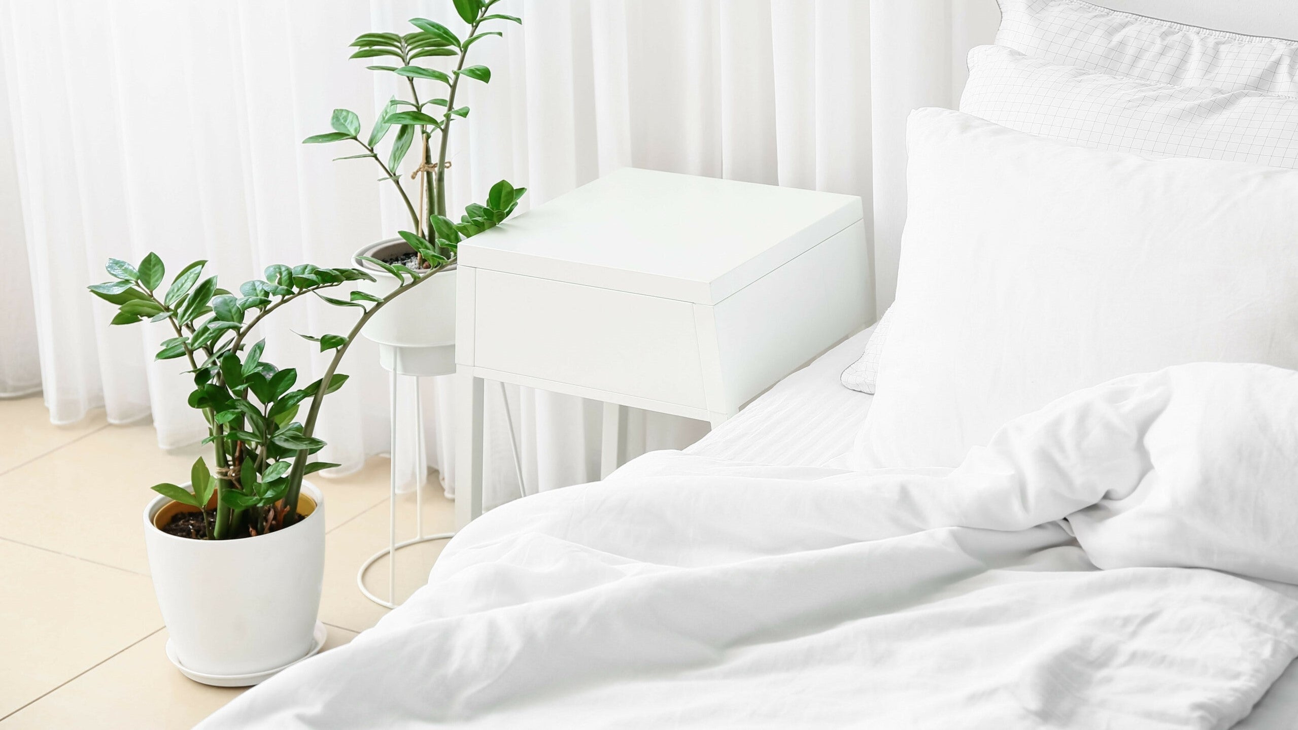 Using the Right Words: Eco-Terms Glossary – Puredown