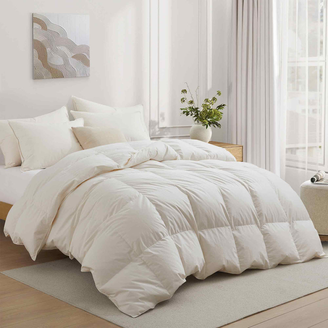 Organic Cotton Down Comforter – Puredown