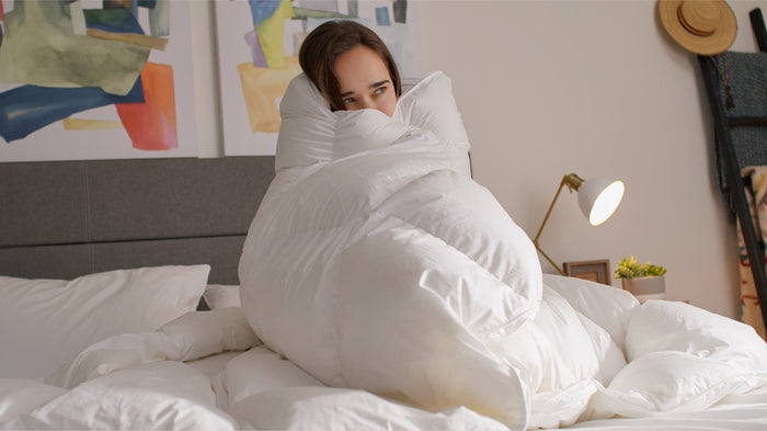 Made in Germany 800 Fill Power European White Down Comforter – Puredown