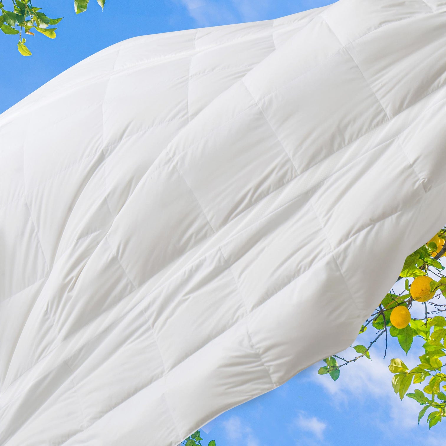 Ultra Lightweight Cooling Down Comforter for Hot Sleepers – Puredown