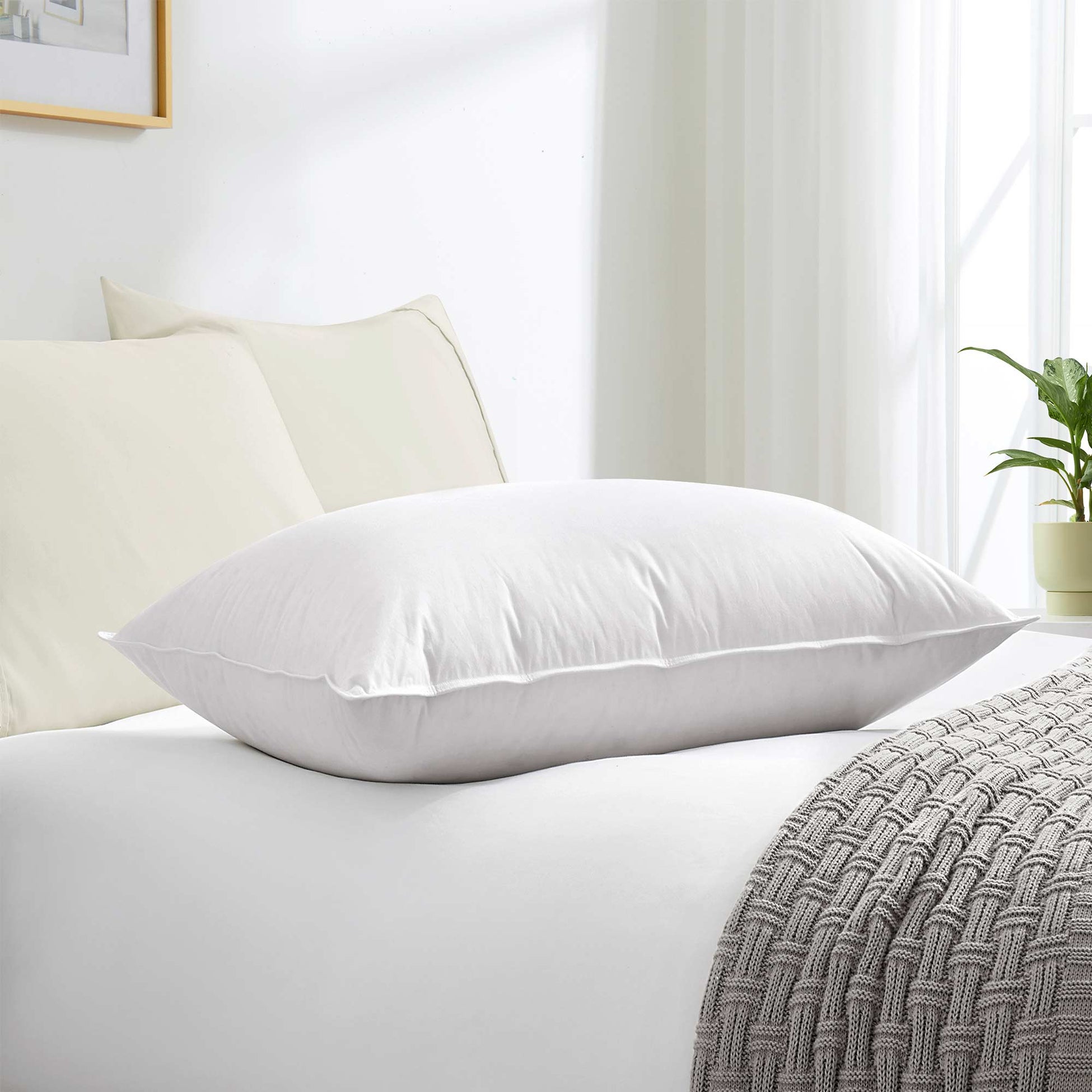 Made in Germany European Down Pillow – Puredown